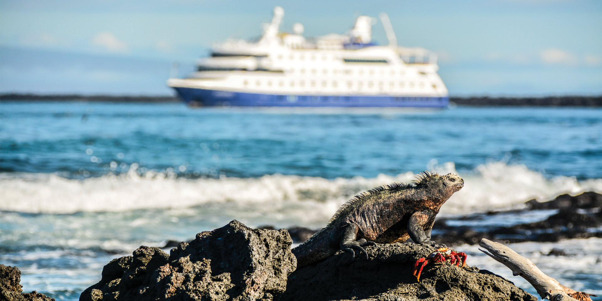 Santa Cruz II Galapagos - Sample | Contours Travel | Cruises