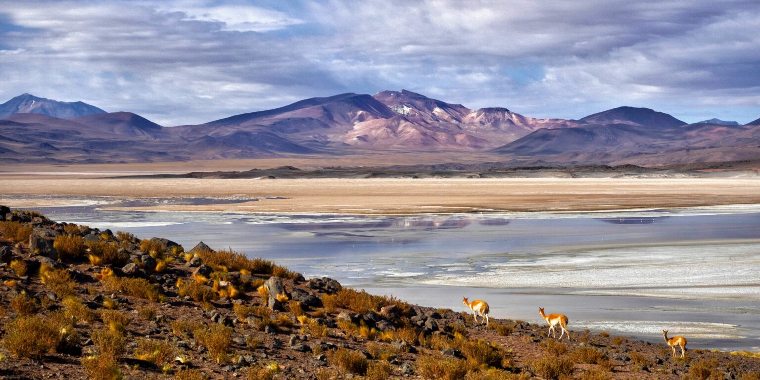 5 Facts about the Atacama Desert | Contours Travel | Tailor Made Tours